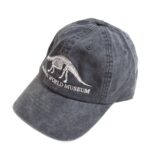 SOUVENIR CAP - 投稿｜Prophet / amplamp